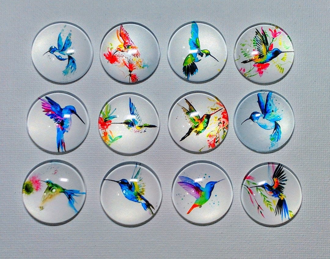 HUMMINGBIRDS LOVER Magnet Set of Twelve One Inch Round Glass Dome *soft ...