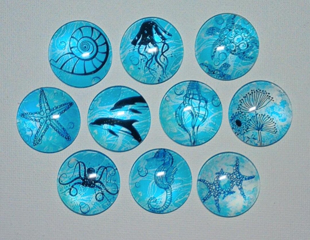 OCEAN SEA LIFE Magnets Set of 10 One Inch Round Glass Dome - Etsy