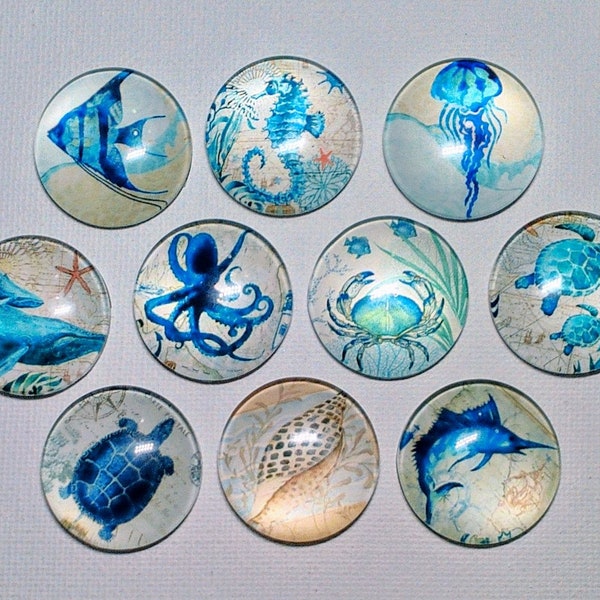 Sea Life Magnets - Etsy