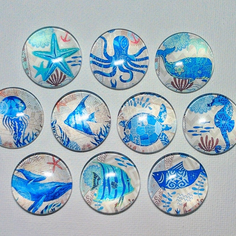 Sea Life Magnets - Etsy