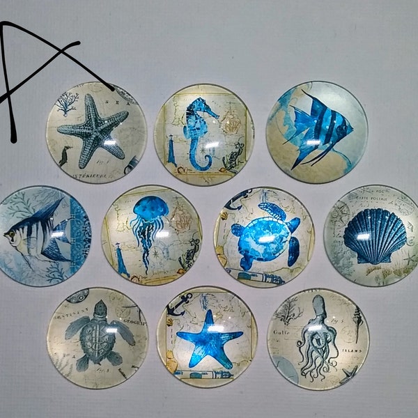 Sea Life Magnets - Etsy