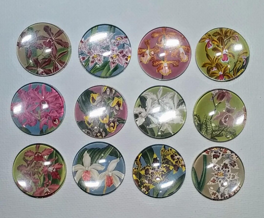 ORCHID FLOWER MAGNETS Set of 12 One Inch Round Glass Dome Birthday ...