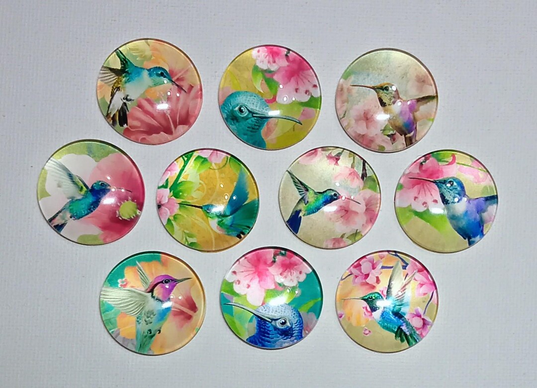 HUMMINGBIRDS Magnet Set of 10 One Inch Round Glass Dome - Etsy