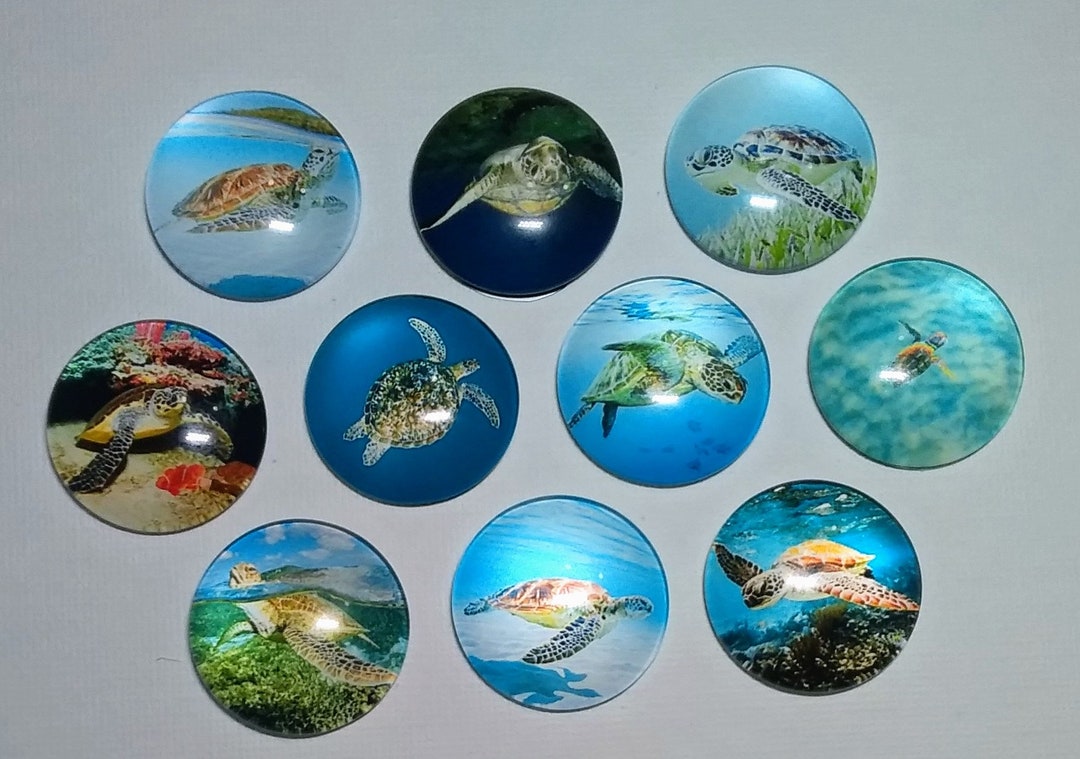 Sea Turtles OCEAN SEA LIFE Magnets Set of 10 One Inch Round Glass Dome ...