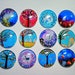 WHIMSICAL NATURE ART Magnets Set of 12 One Inch Round Glass Dome - Etsy