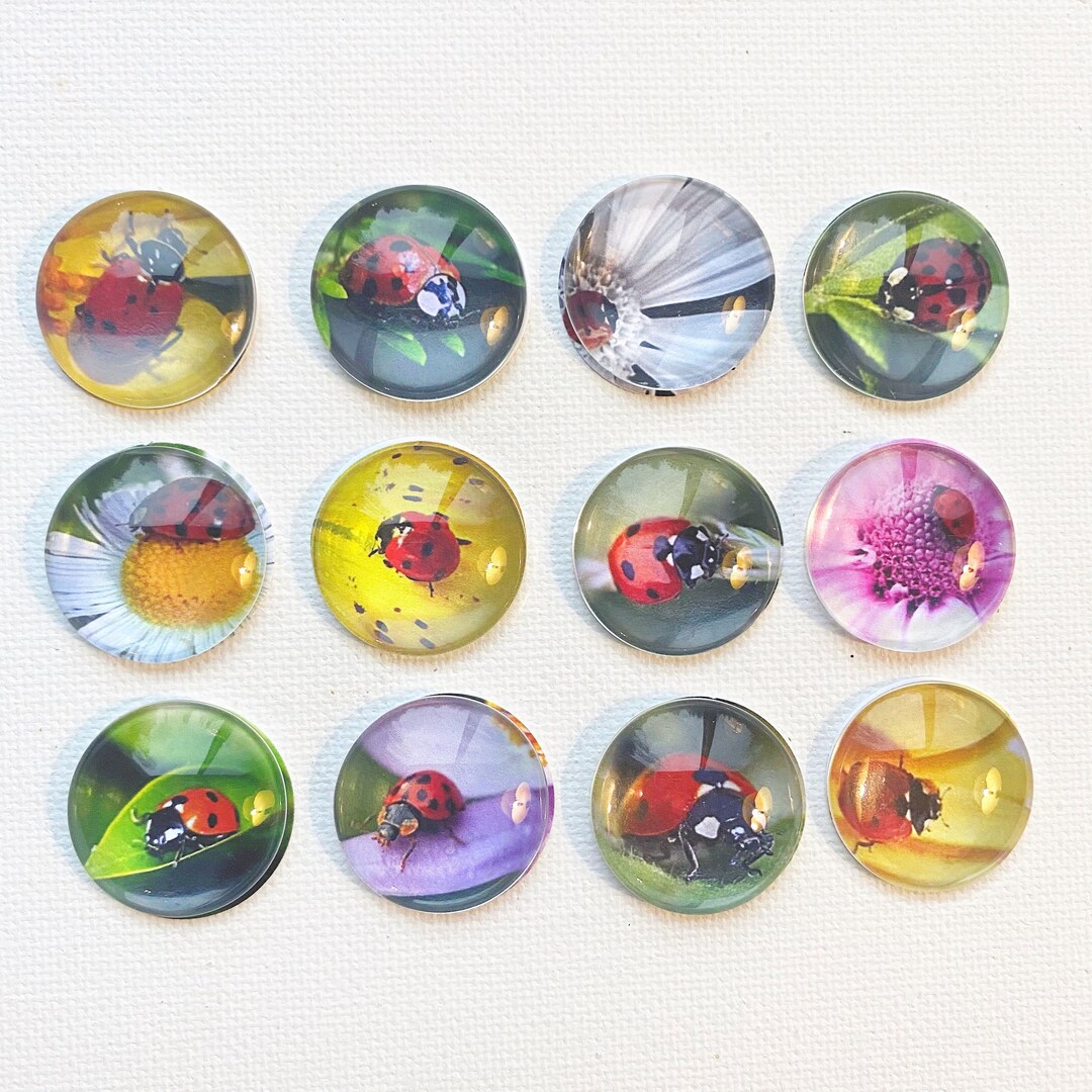 LADYBUG MAGNET SET of 12 One Inch Glass Dome Birthday Mom Her Hostess ...