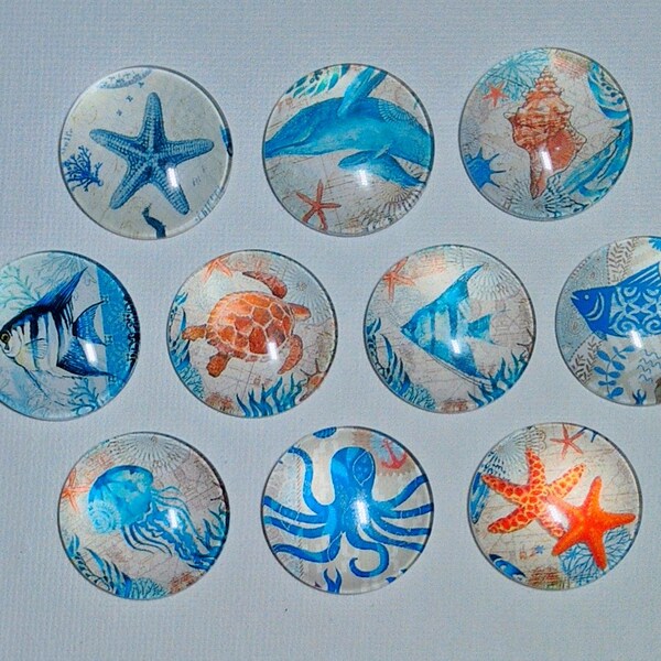 Sea Life Magnets - Etsy
