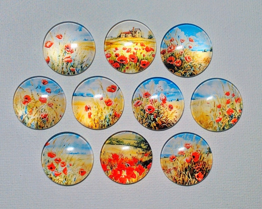POPPY FIELDS Magnets Set of 10 1 Round Glass Dome Red Gardens Nature ...