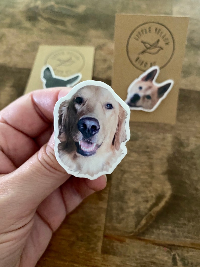 Custom Pet Pin Personalized Dog Acrylic Brooch Custom Cat - Etsy