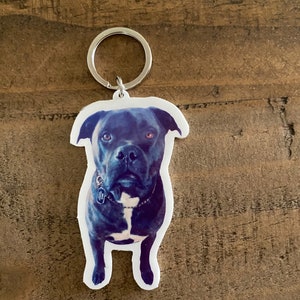 Custom Pet Keychain | Custom Dog Acrylic Keychain | Custom Cat Acrylic ...