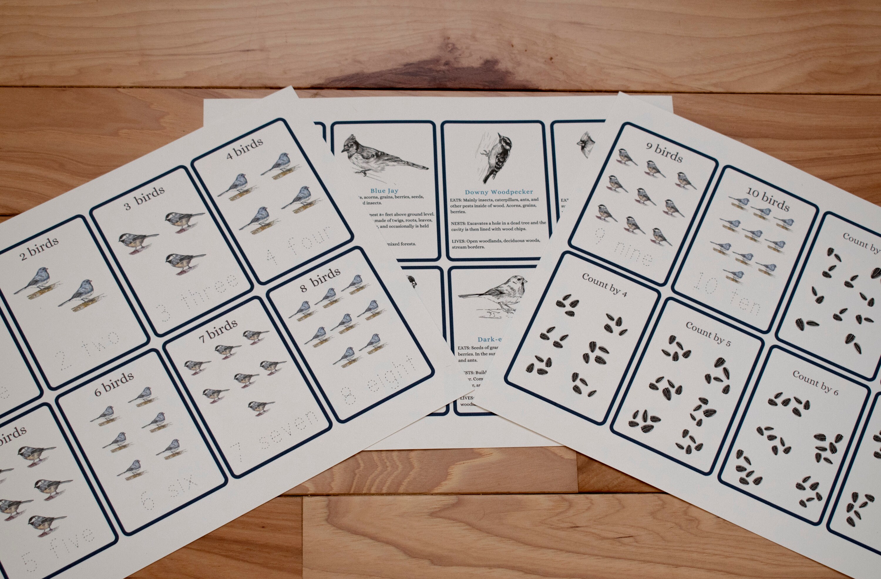 New England Winter Bird Identification -counting, Number Tracing ...