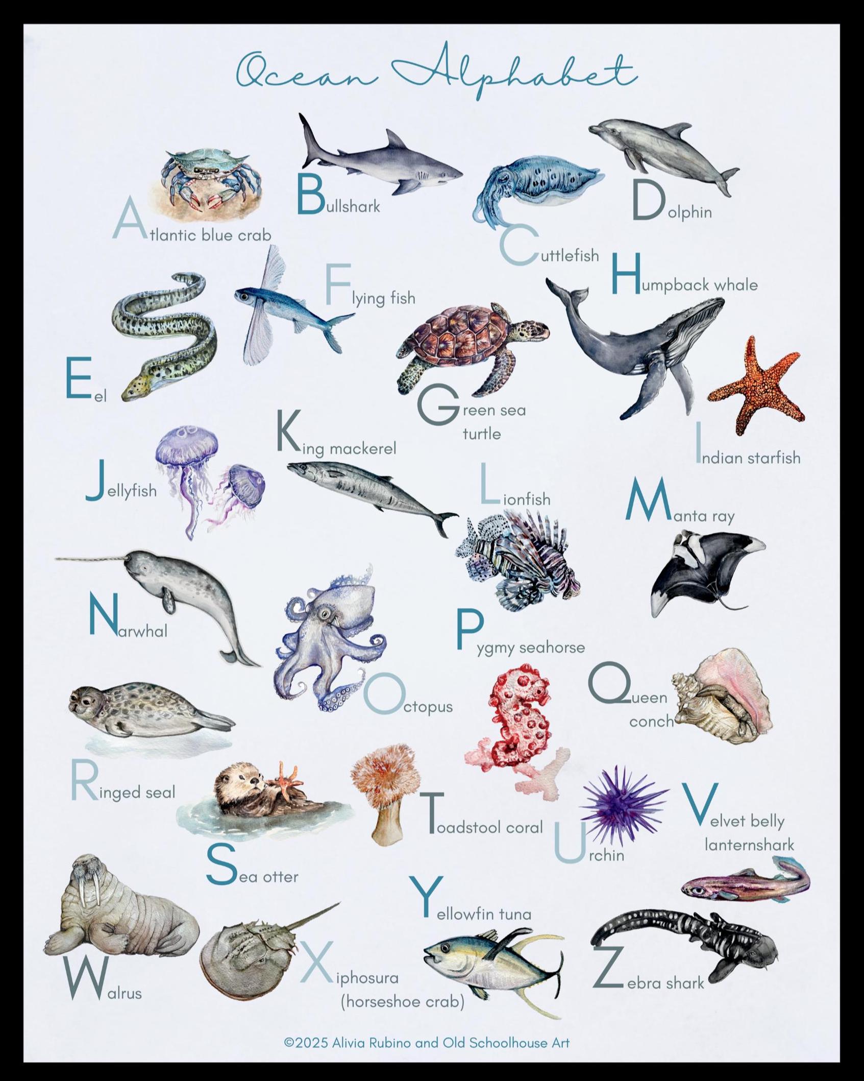 Digital Ocean Alphabet Poster / Original Watercolor Art / Educational ...