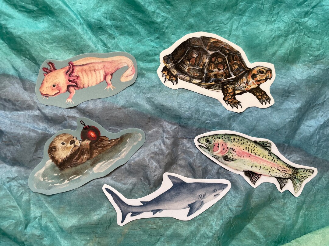 Pack of Watercolor Art Vinyl Ocean Aquatic Stickers Journaling ...