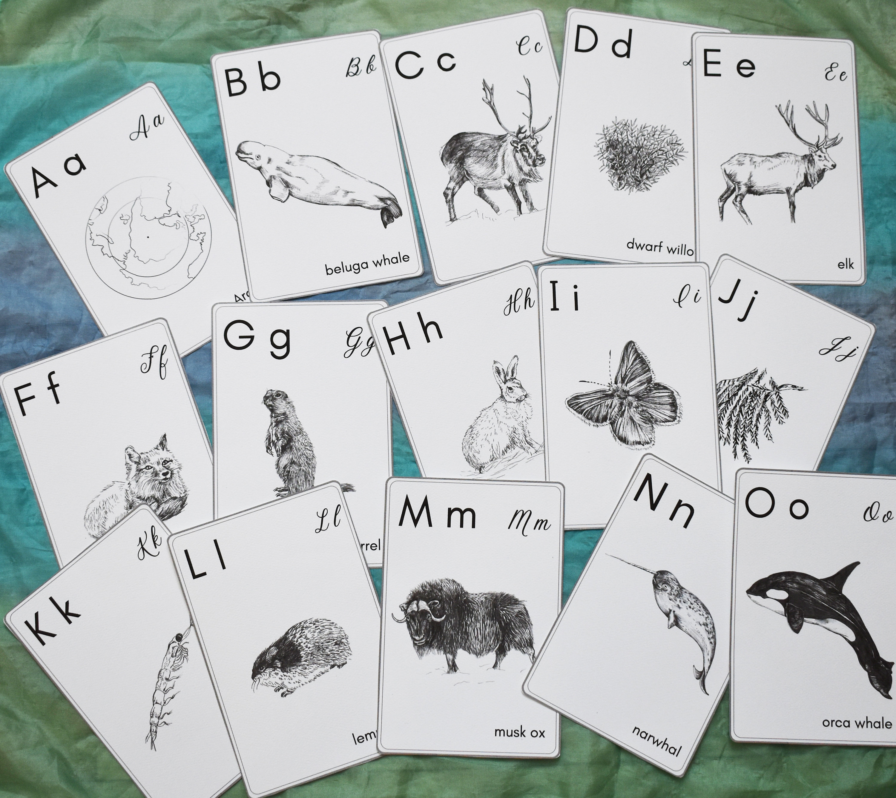 Arctic Tundra Classroom Alphabet Flashcards Hand drawn ABC | Etsy