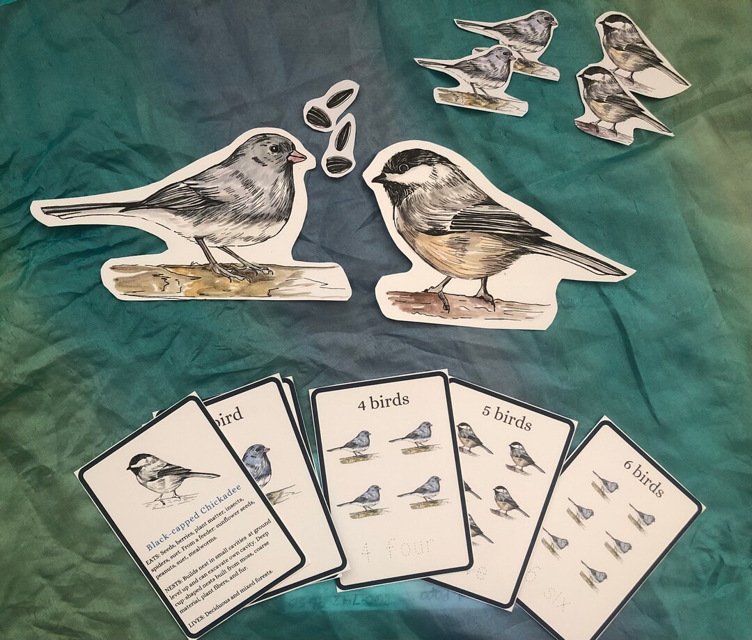 New England Winter Bird Identification -counting, Number Tracing ...