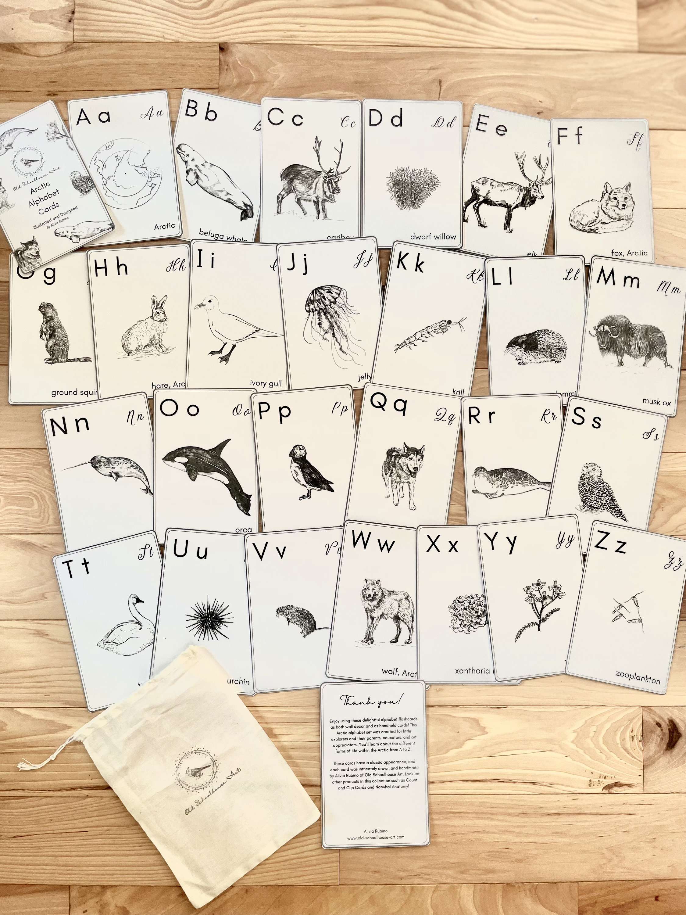 Arctic Tundra Classroom Alphabet Flashcards Hand Drawn ABC Handmade ...