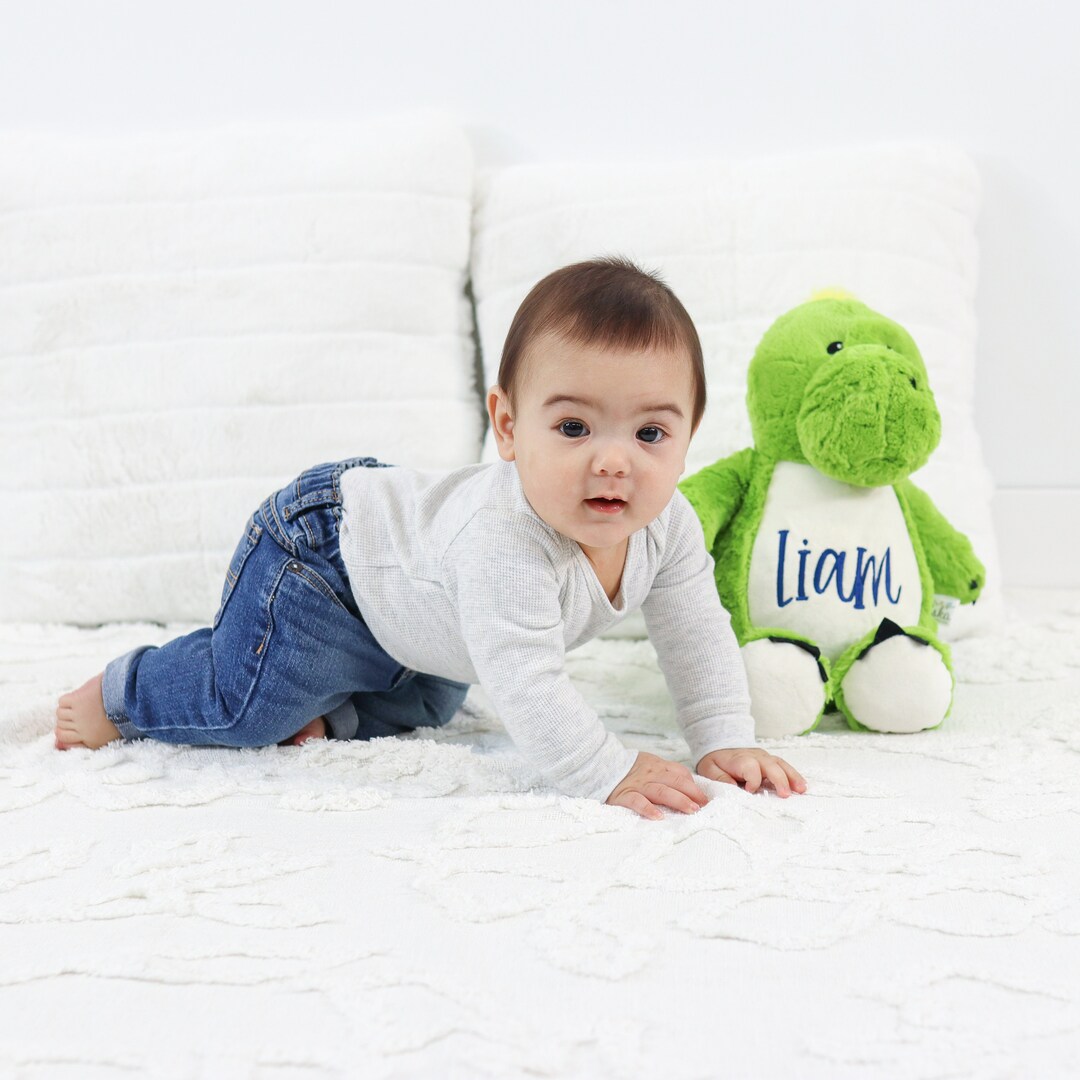 Personalized Stuffed Animal, Personalized Dinosaur, Birth Stat Animal ...