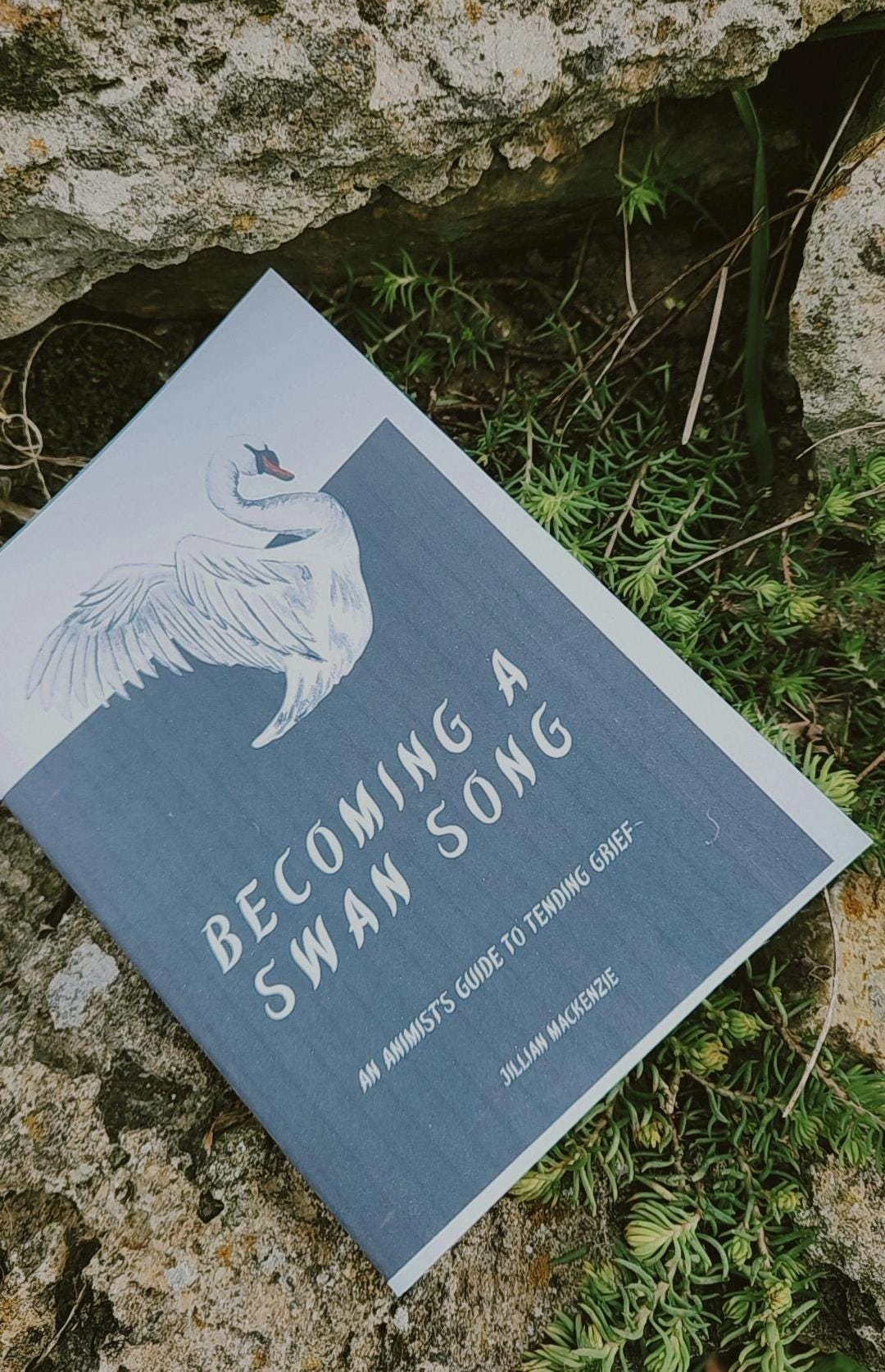 Becoming a Swan Song Guidebook on Tending Grief, Support for Grieving ...