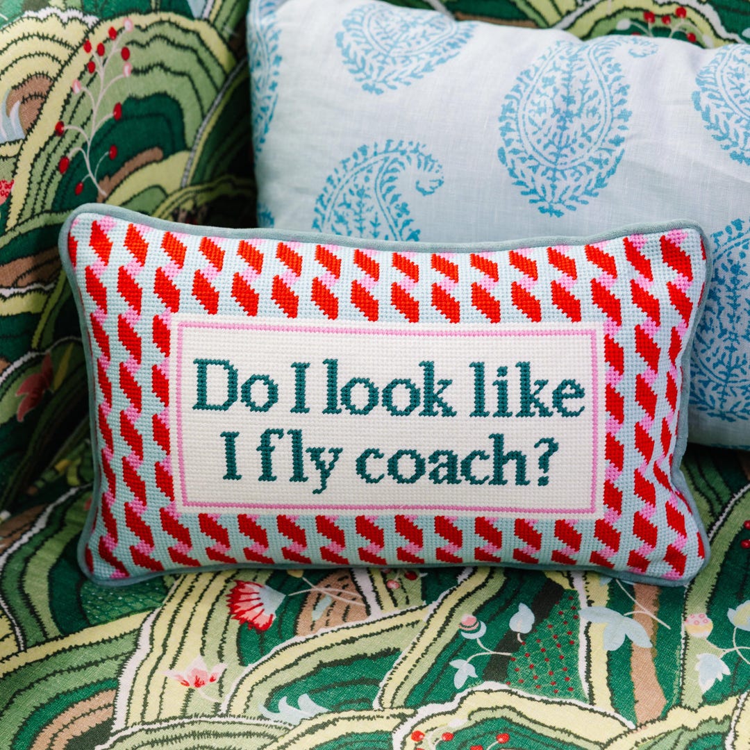 Embroidered Needlepoint Pillow 9x15 – Funny Quote Accent Pillow “fly ...