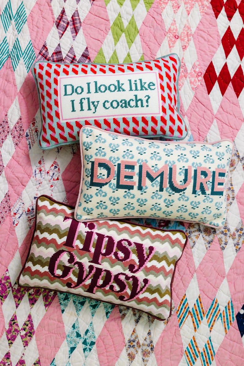 Embroidered Needlepoint Pillow 9x15 – Funny Quote Accent Pillow “fly ...