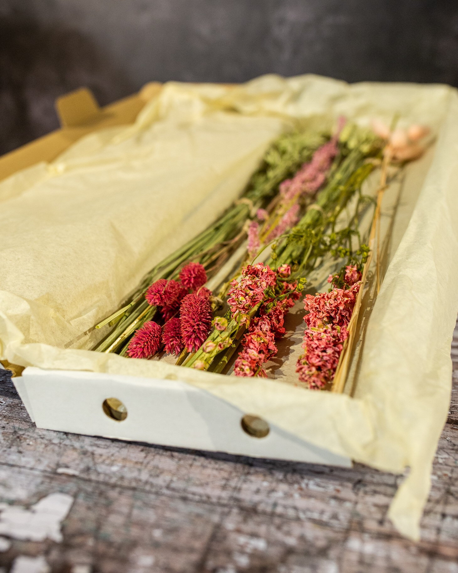 Dried Letterbox Flowers in pink. A selection of loose dried | Etsy