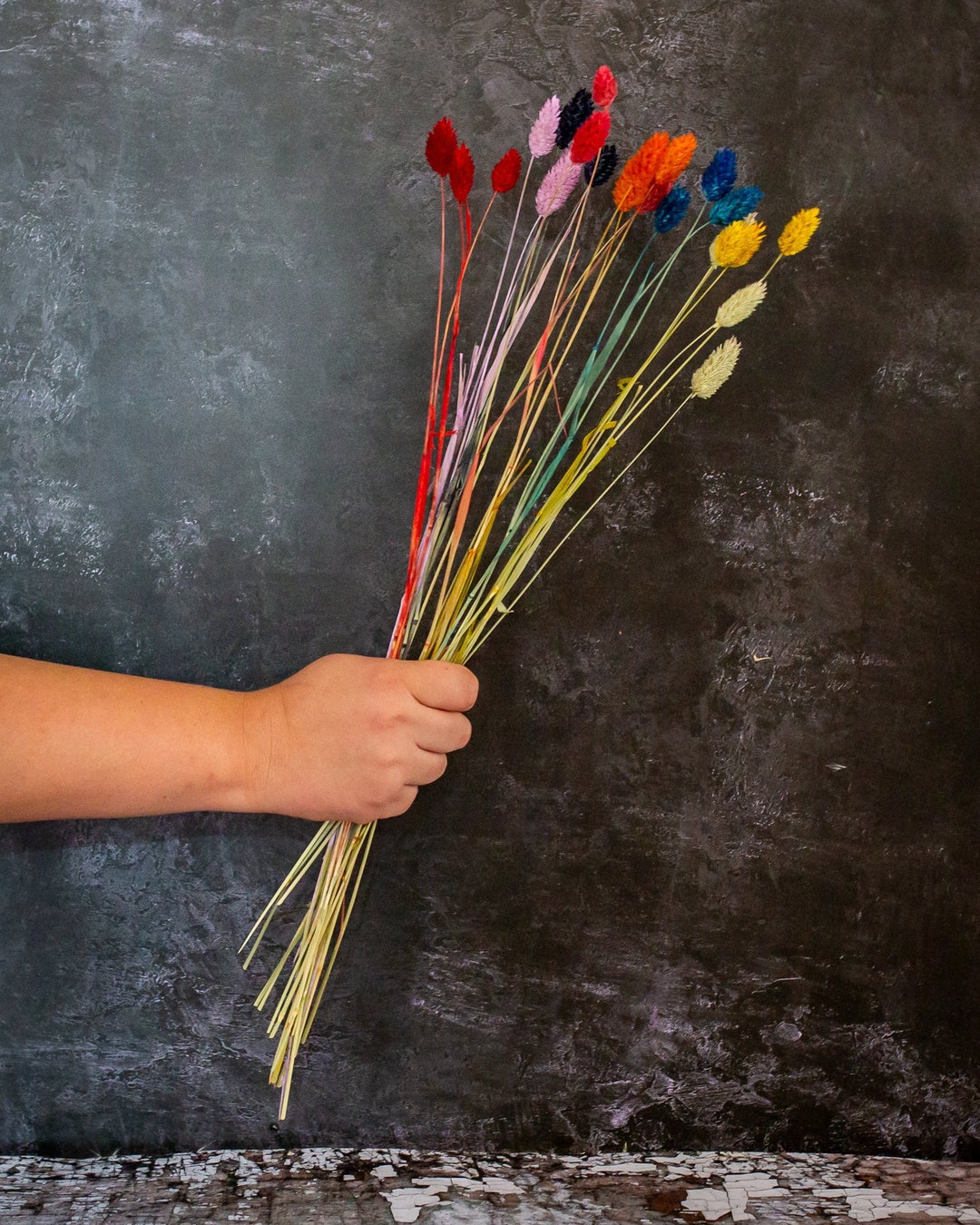 Rainbow Canary Grass, Phalaris Dried Flowers for Craft, Wedding, Home ...