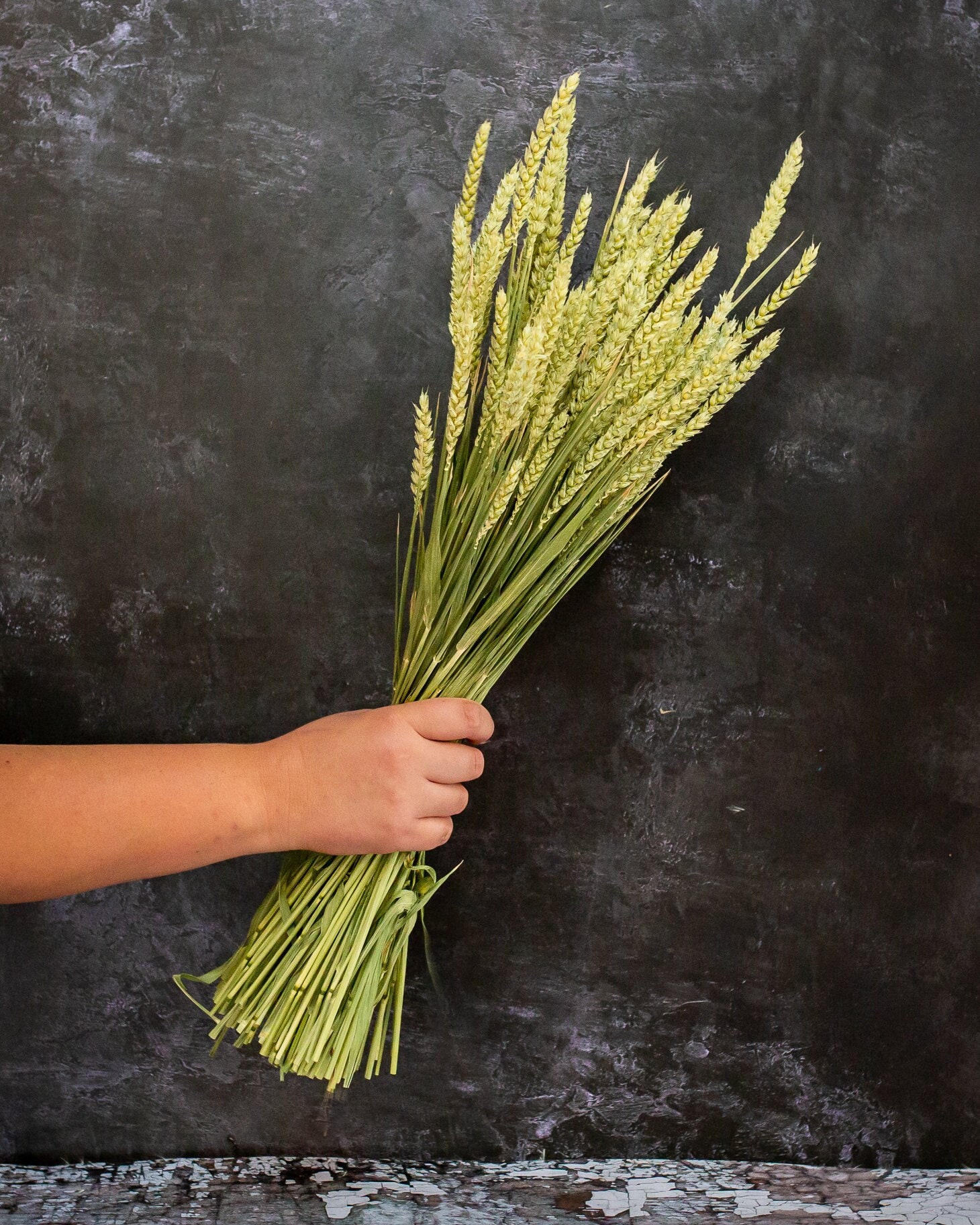 Dried Wheat Stems. Natural Dried Flower Stems for Crafting, Floral ...