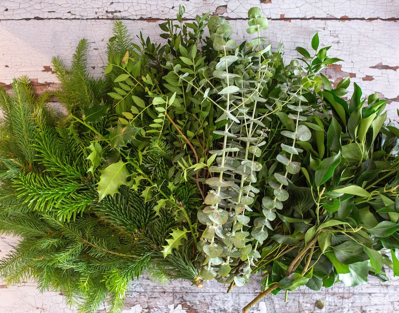 Festive Fresh Foliage Pack. A Mixture of Seasonal Floristry Grade ...