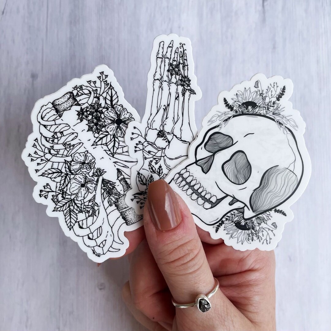 Floral Anatomy Sticker, Human Anatomy Stickers, Skull Sticker, Ribs ...