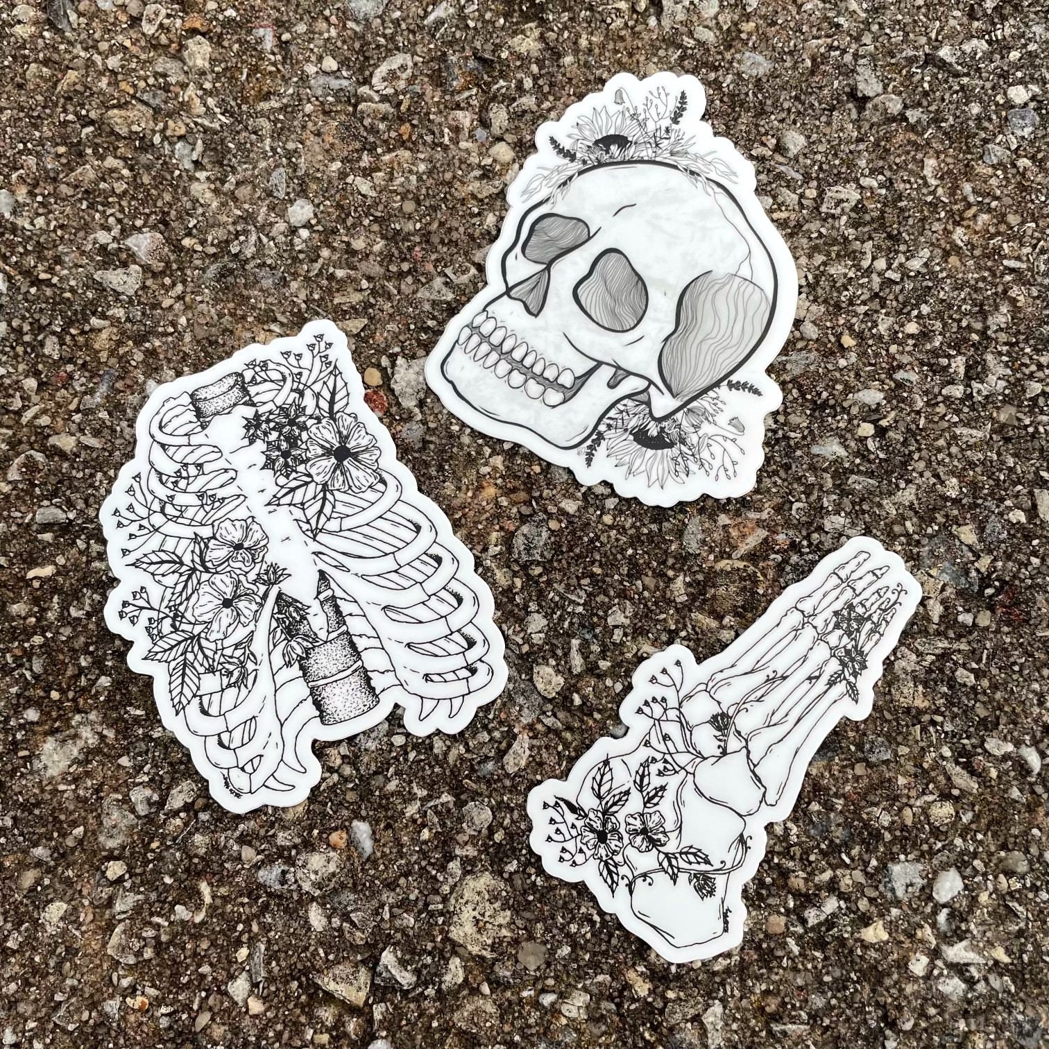 Floral Anatomy Sticker, Human Anatomy Stickers, Skull Sticker, Ribs ...