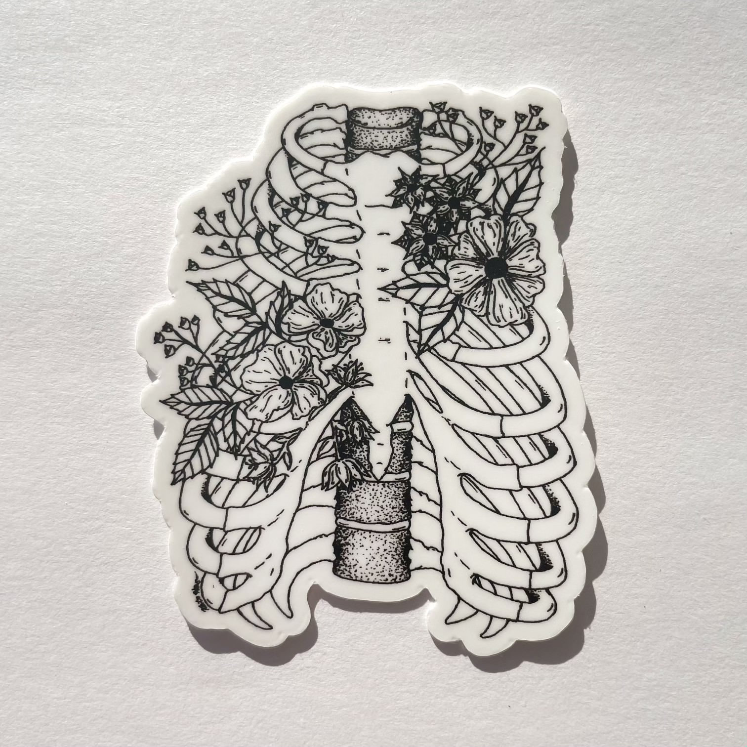 Floral Anatomy Sticker, Human Anatomy Stickers, Skull Sticker, Ribs ...