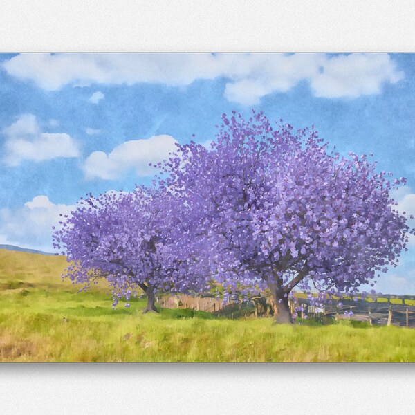 Jacaranda Trees - Etsy