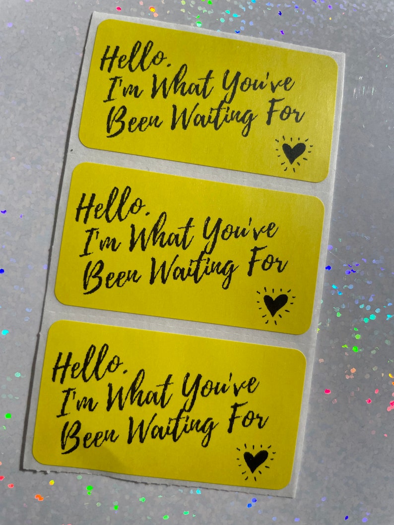 Hello Im What Youve Been Waiting for Stickers Packaging - Etsy