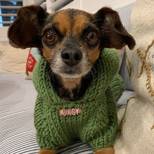 Dog Hoodie Sweater Personalized Dog Sweater Pet Clothing - Etsy