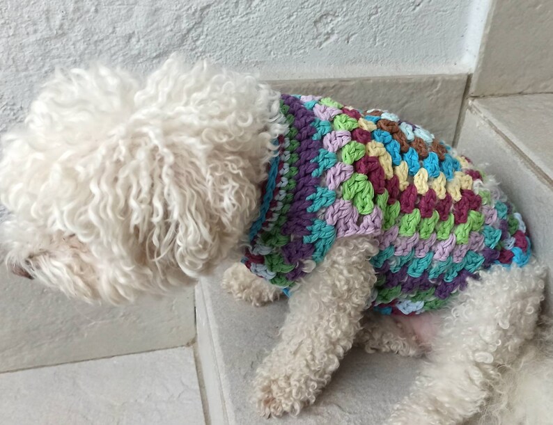 Granny Dog Sweater Small Dog Sweater Colorful Dog - Etsy