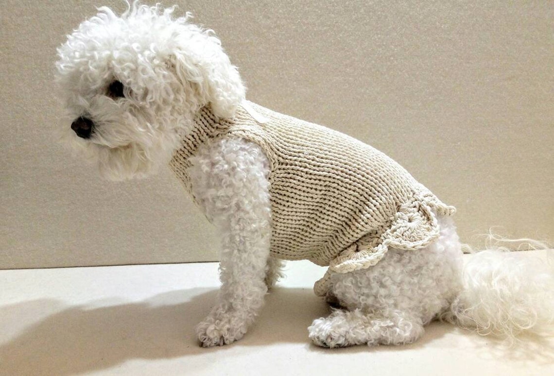 Abito elegante cane, Vestito cani estate, Maglione per cani, Abito in ...
