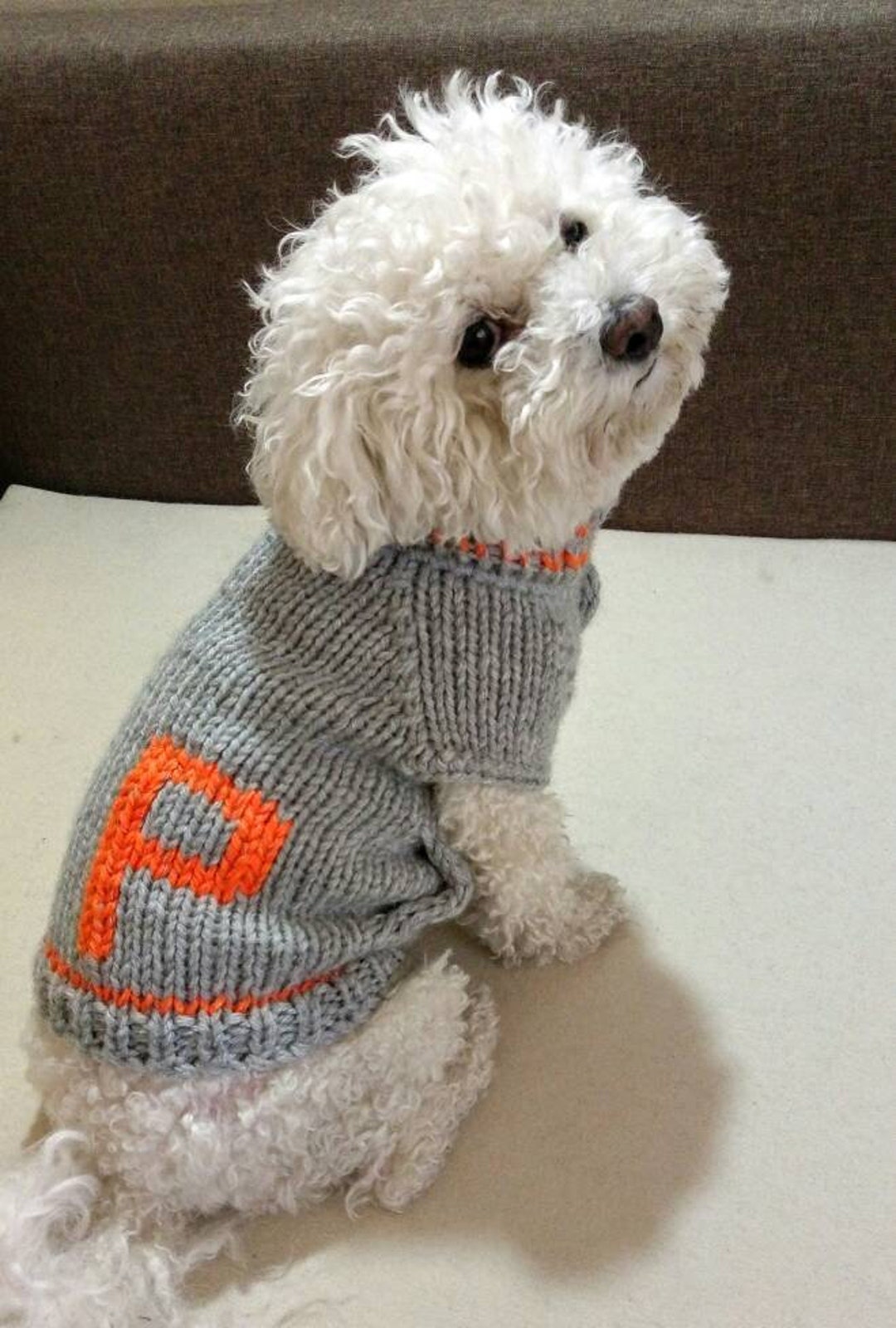 Personalized Dog Sweater - Monogrammed Dog Jacket - Dog Clothes ...