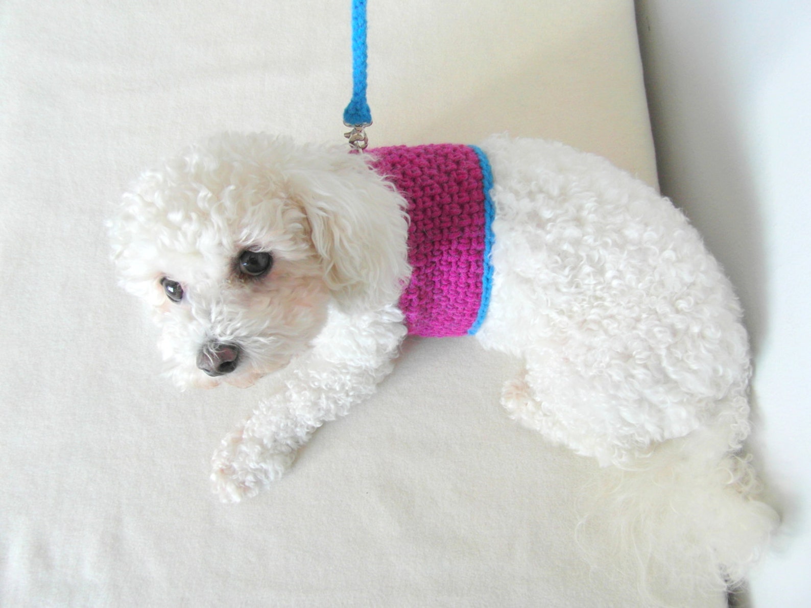 Crochet DOG harness Dog Harness Vest Matching leash Pets | Etsy