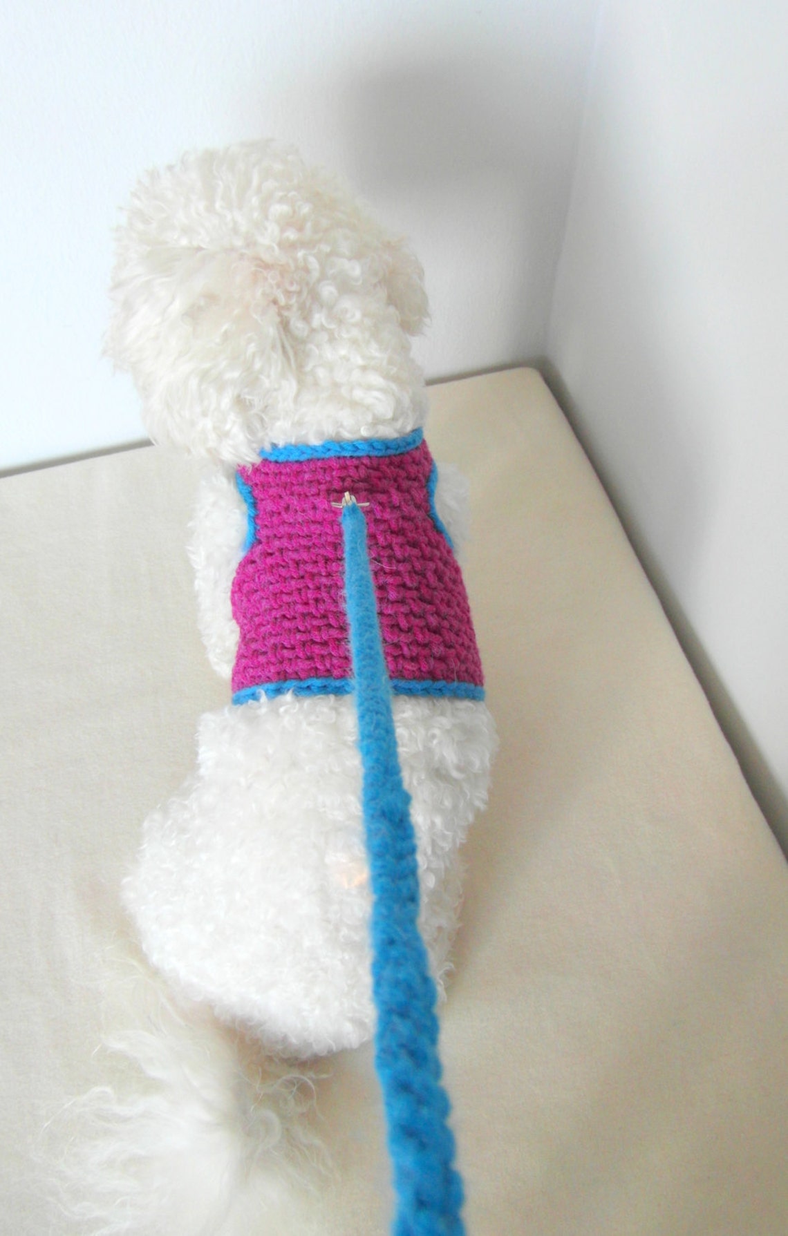 Crochet DOG harness Dog Harness Vest Matching leash Pets | Etsy