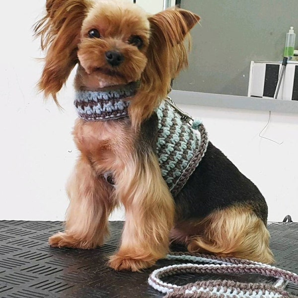 Crochet Harness - Etsy