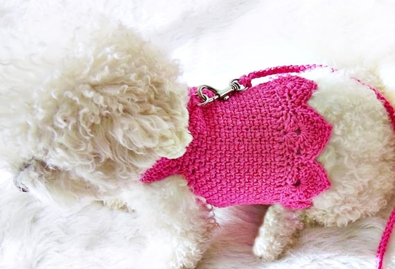 Crochet Dog Harness Dress Dog Cotton Harness & Leash Set Dog | Etsy