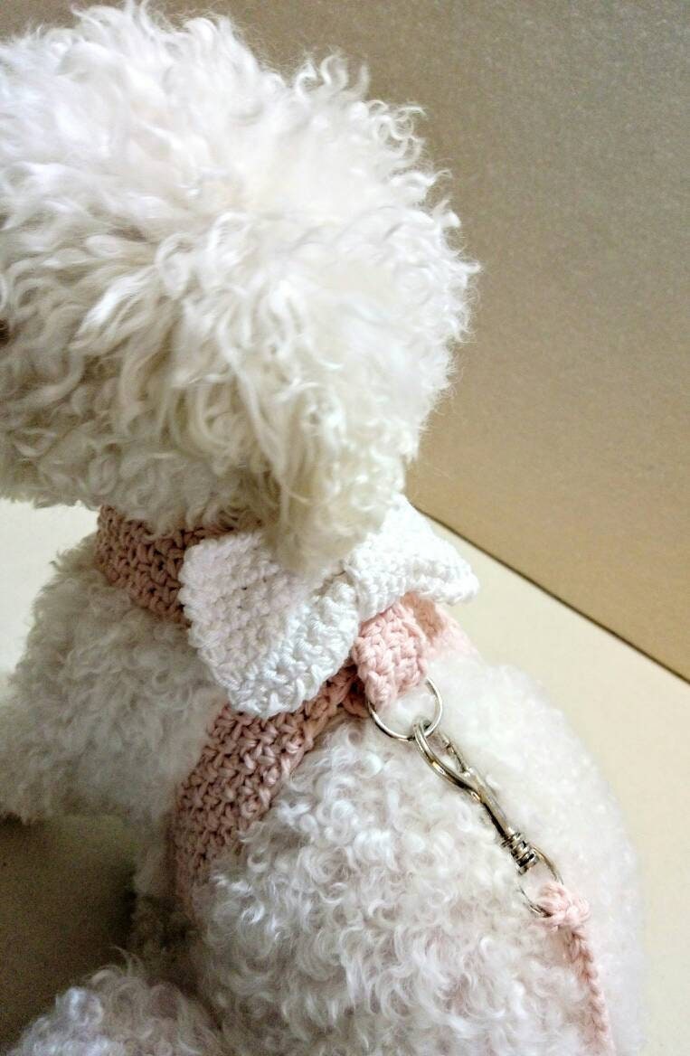 Handmade DOG Harness With Matching Leash Powder Rose Harness - Etsy Canada