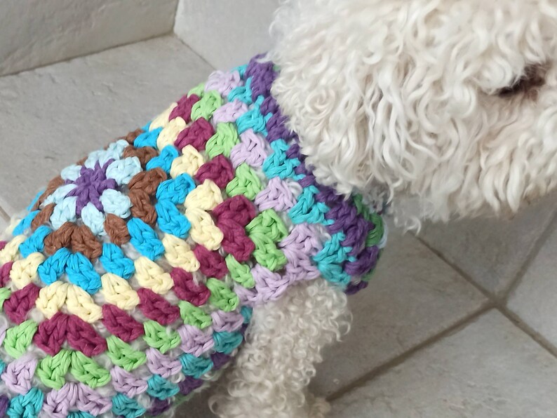 Granny Dog Sweater Small Dog Sweater Colorful Dog - Etsy