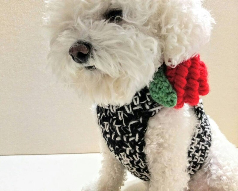 Crochet DOG harness Pets Harness Small dog harness with back | Etsy