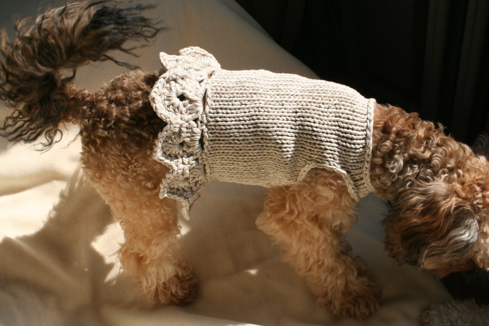 Abito elegante cane, Vestito cani estate, Maglione per cani, Abito in ...