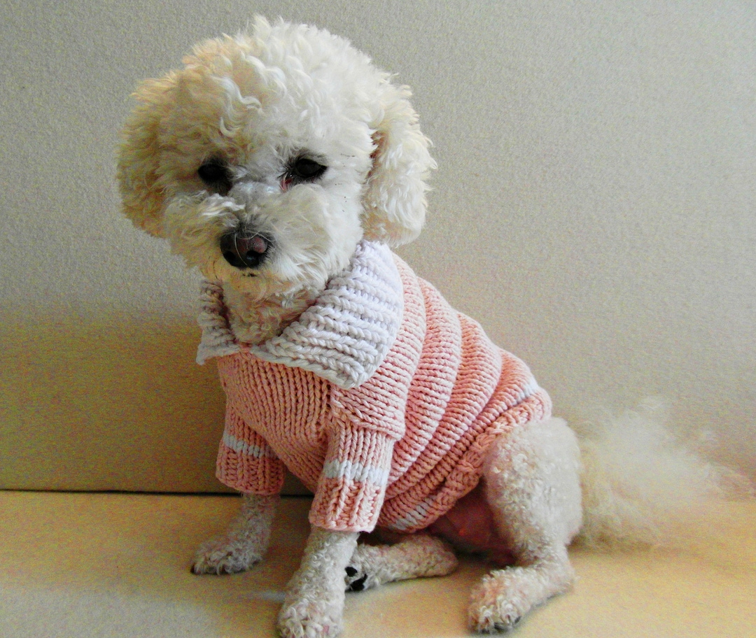 Cotton Dog Sweater, Clothes for Small Dogs, Cute Puppy Outfit, Dog Knit ...