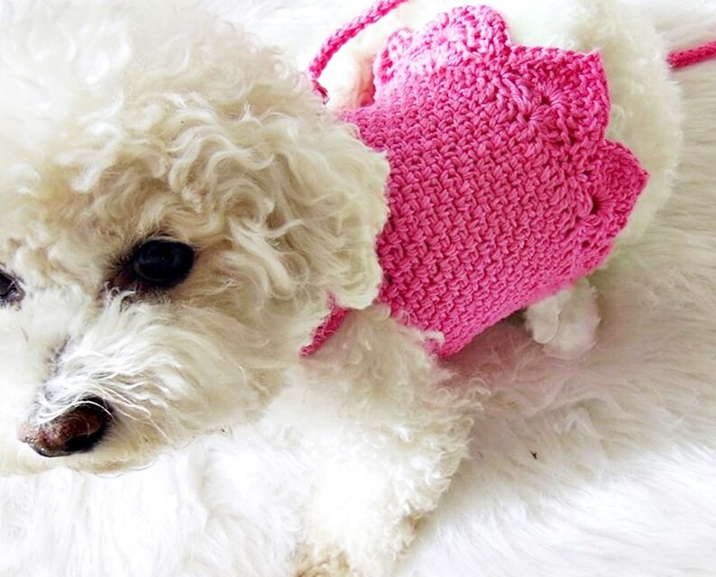 Crochet Dog Harness Dress Dog Cotton Harness & Leash Set Dog | Etsy