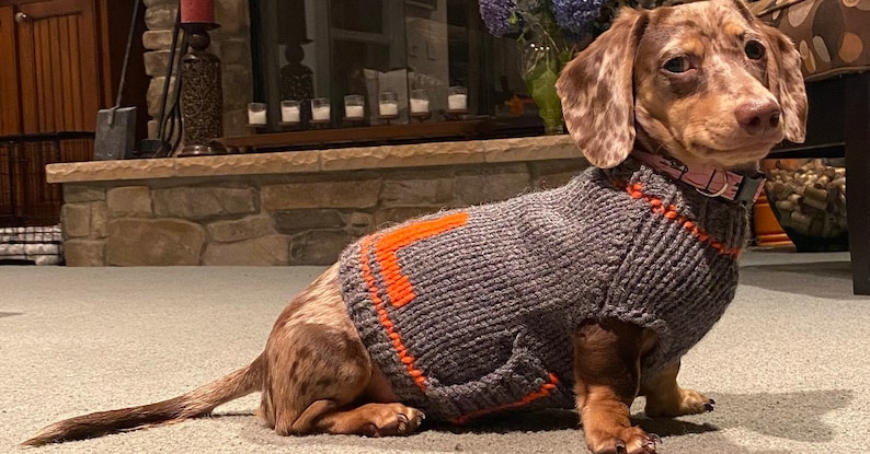 Monogram Dog Sweater Letter Dog Sweater Personalized Dog - Etsy