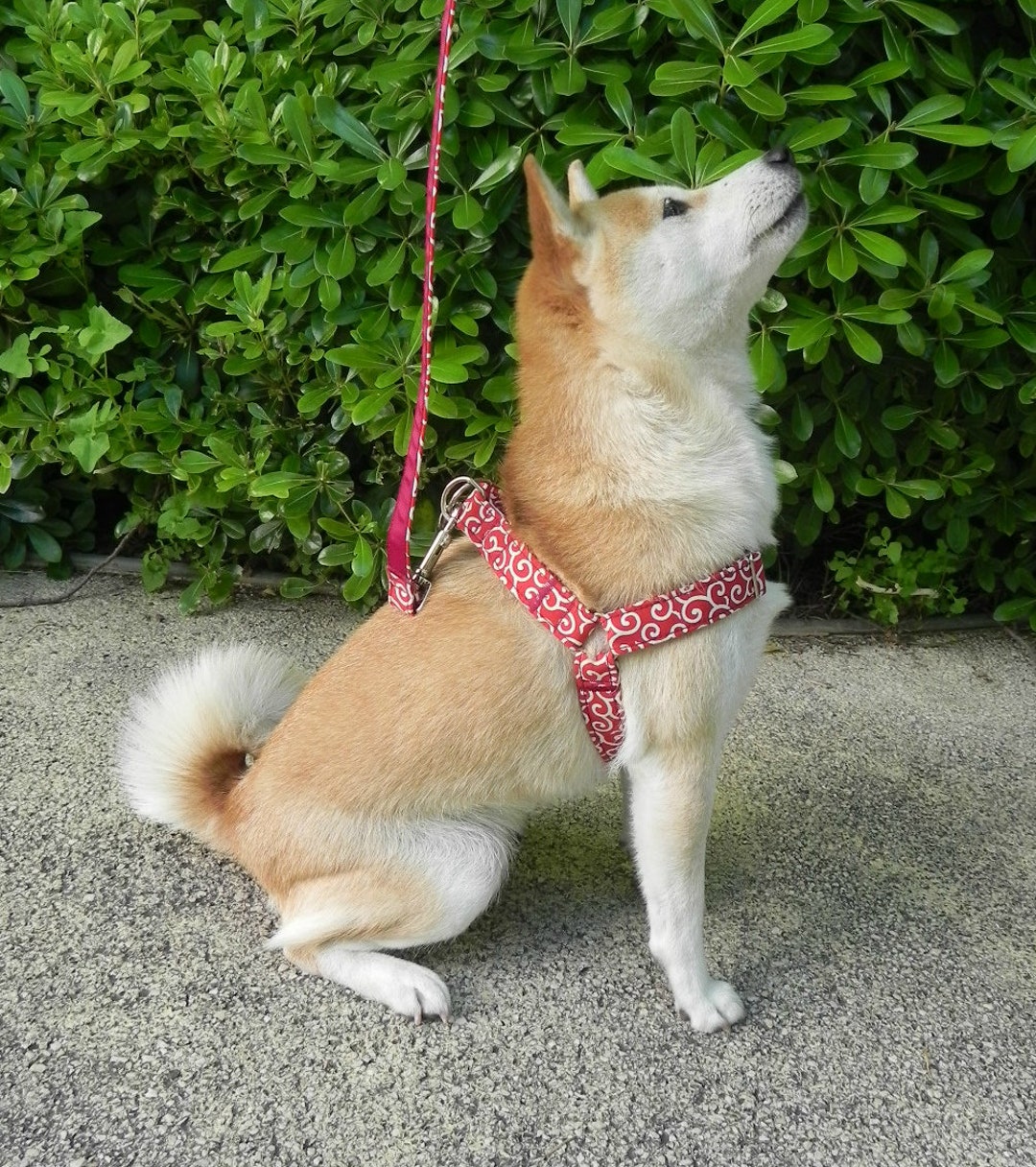 RED KARAKUSA Cute Step-in Dog Harness Japanese Fabric, Perfect for ...