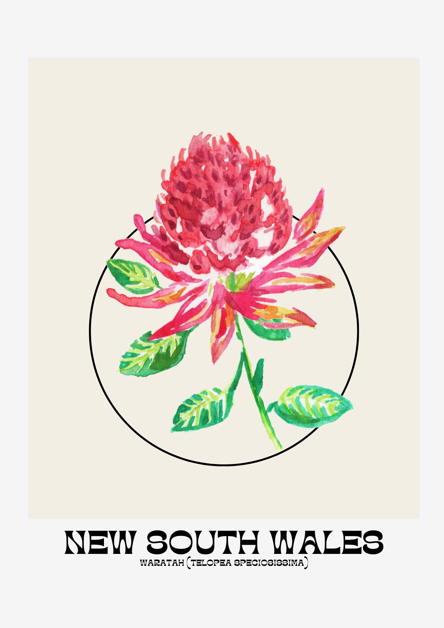 Waratah Printable Art for New South Wales State Floral Emblem ...